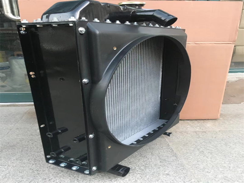 weichai baudouin engine parts fuel filter 15540390D 330205000591 ...